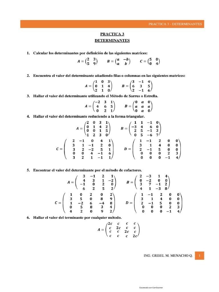 Practica 1 - Matrices-1 | PDF