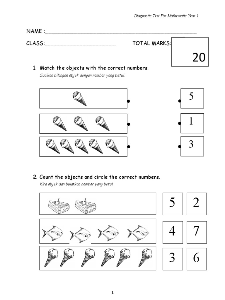 Year 1 Mathematics Diagnostic Assessment | PDF