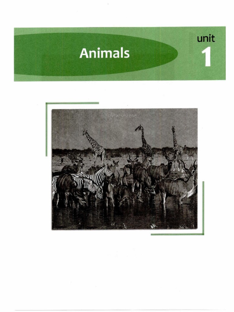 Facts and Figures | PDF | Hippopotamus | Camel