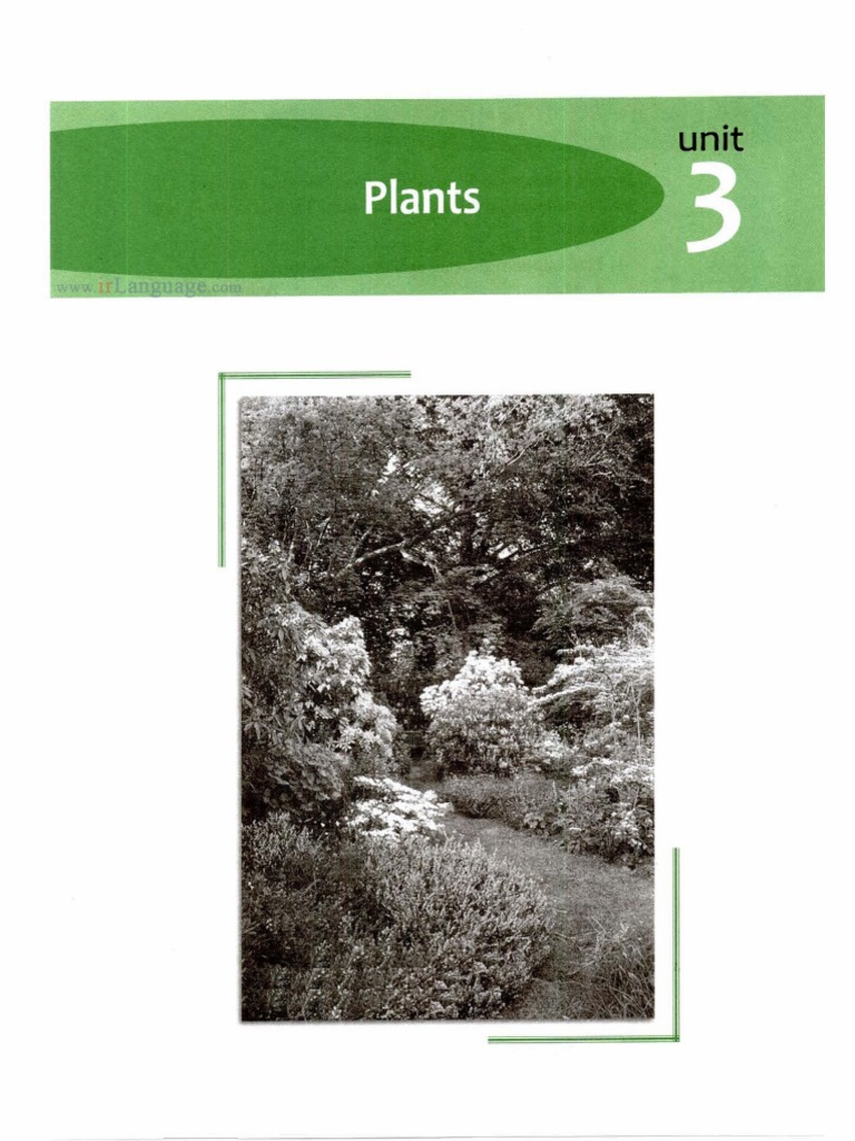 Facts and Figures | PDF | Orange (Fruit) | Coffee