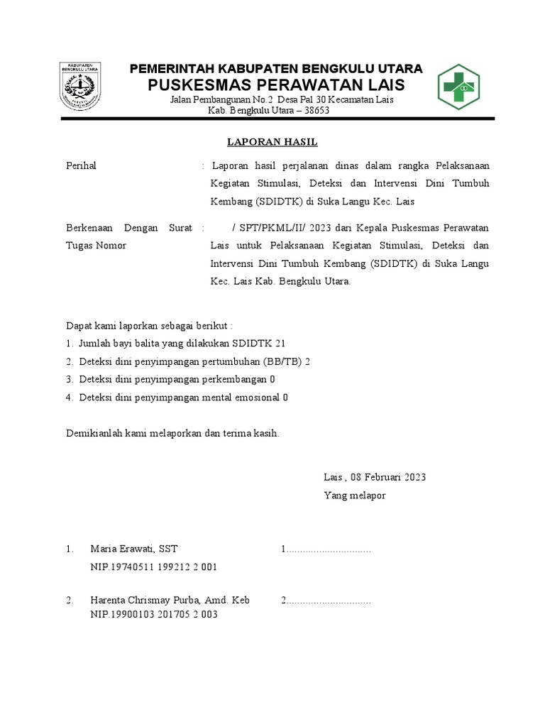 Laporan Hasil SDIDTK | PDF