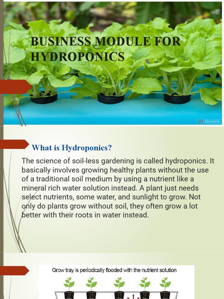 HYDROPONICS | PDF | Plant Nutrition | Hydroponics