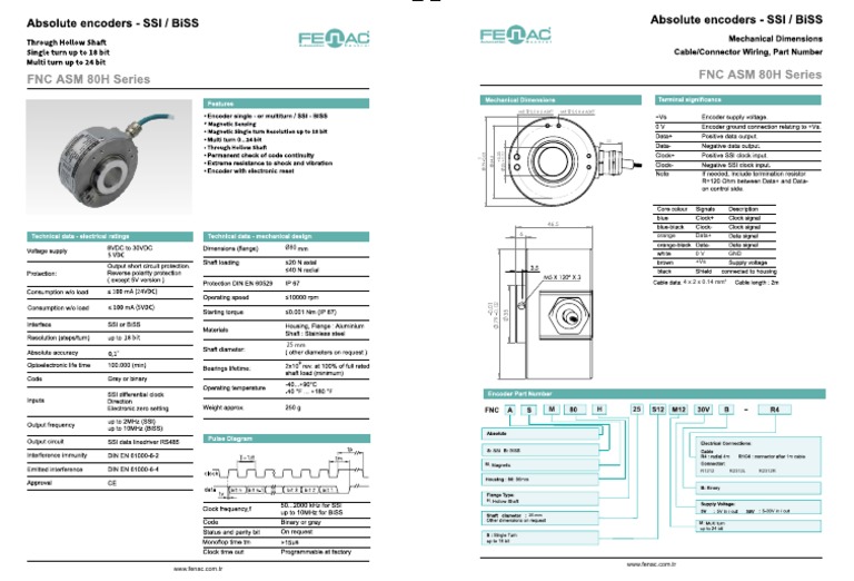 FNC Asm 80h Series Encoder PDF 6991 | PDF