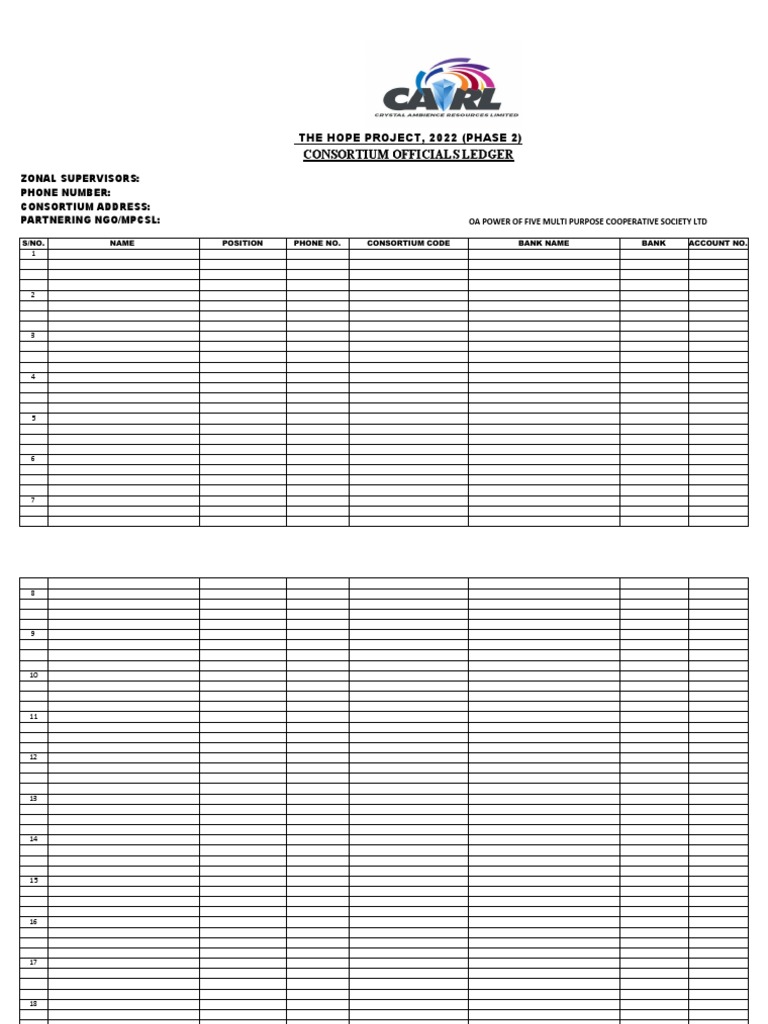 Divine Acceleration Hope Project | PDF