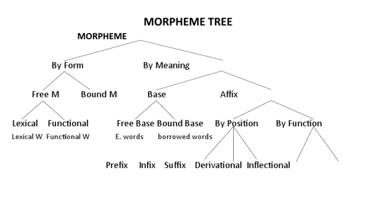 Morpheme Structure Overview | PDF