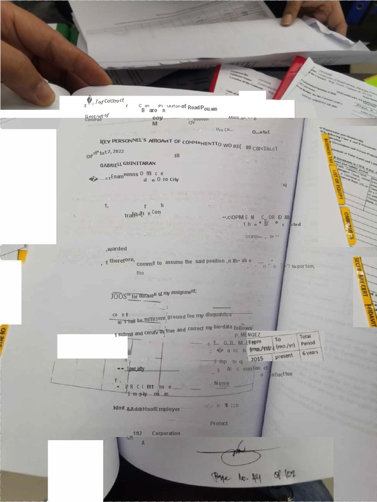 Affidavit DPWH | PDF