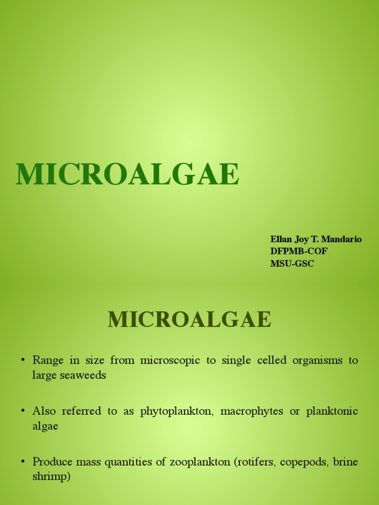 5 - Microalgae | PDF | Algae | Eukaryotes