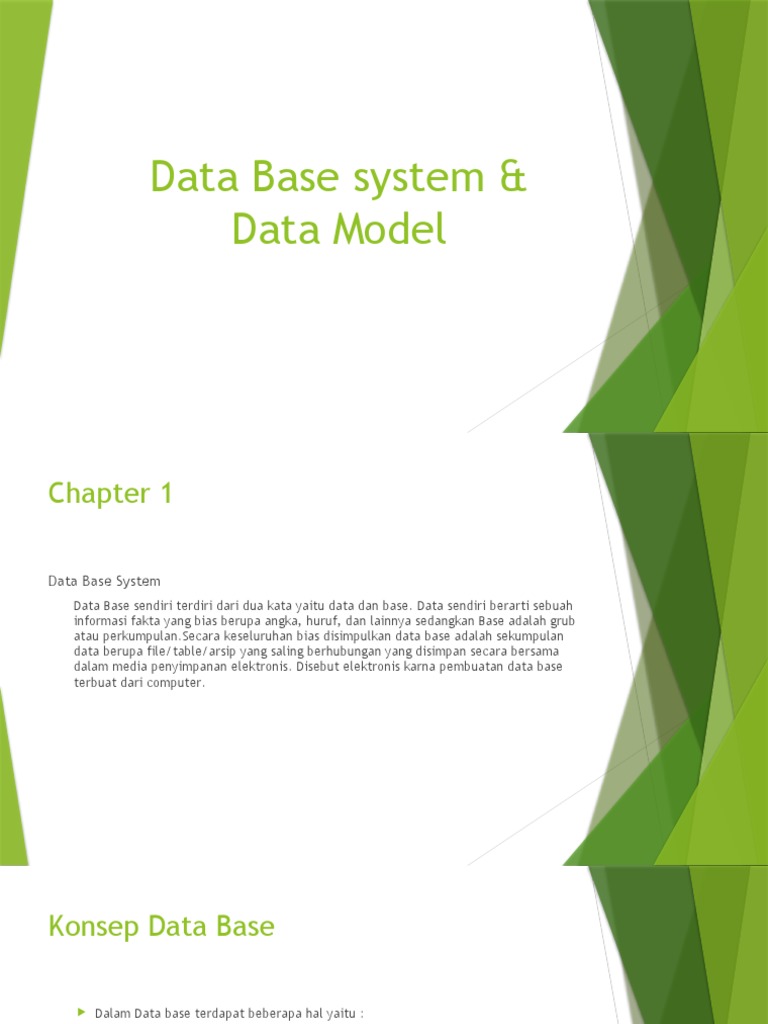 Data Base System & Data Model | PDF