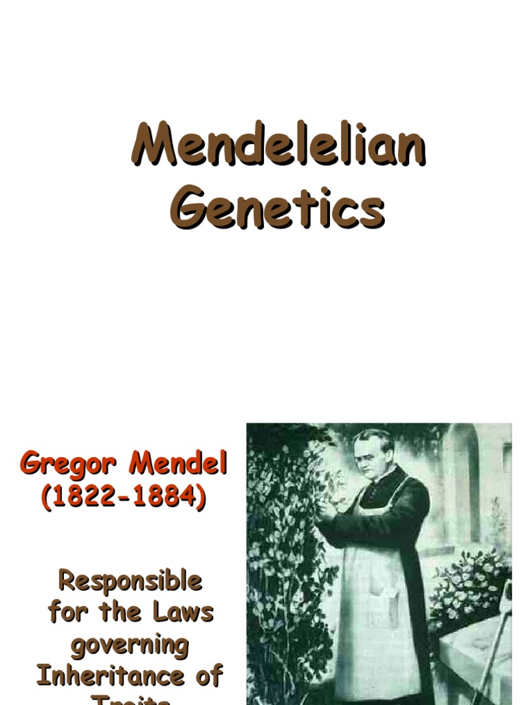 Mendelian Genetics | PDF | Dominance (Genetics) | Genotype