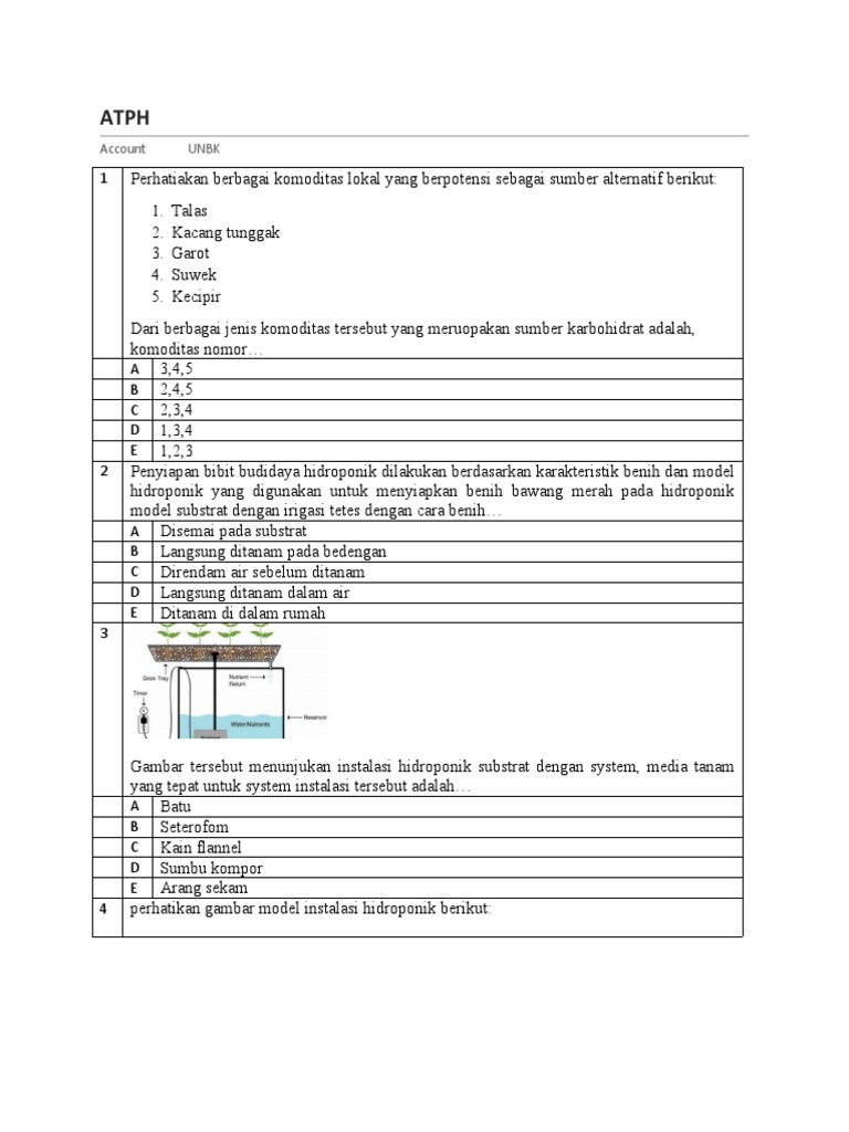 0. Template Soal - ATPH | PDF