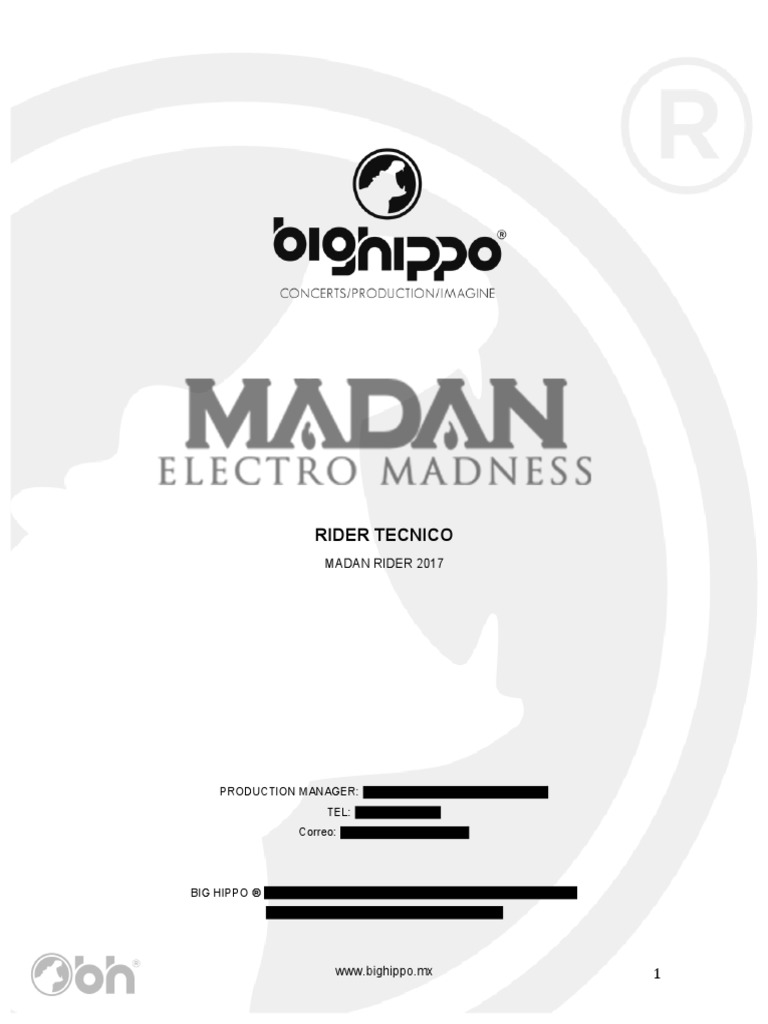 RIDER MADAN - 2017 - Redacted | PDF | Electrónica | Tecnología de información y comunicaciones