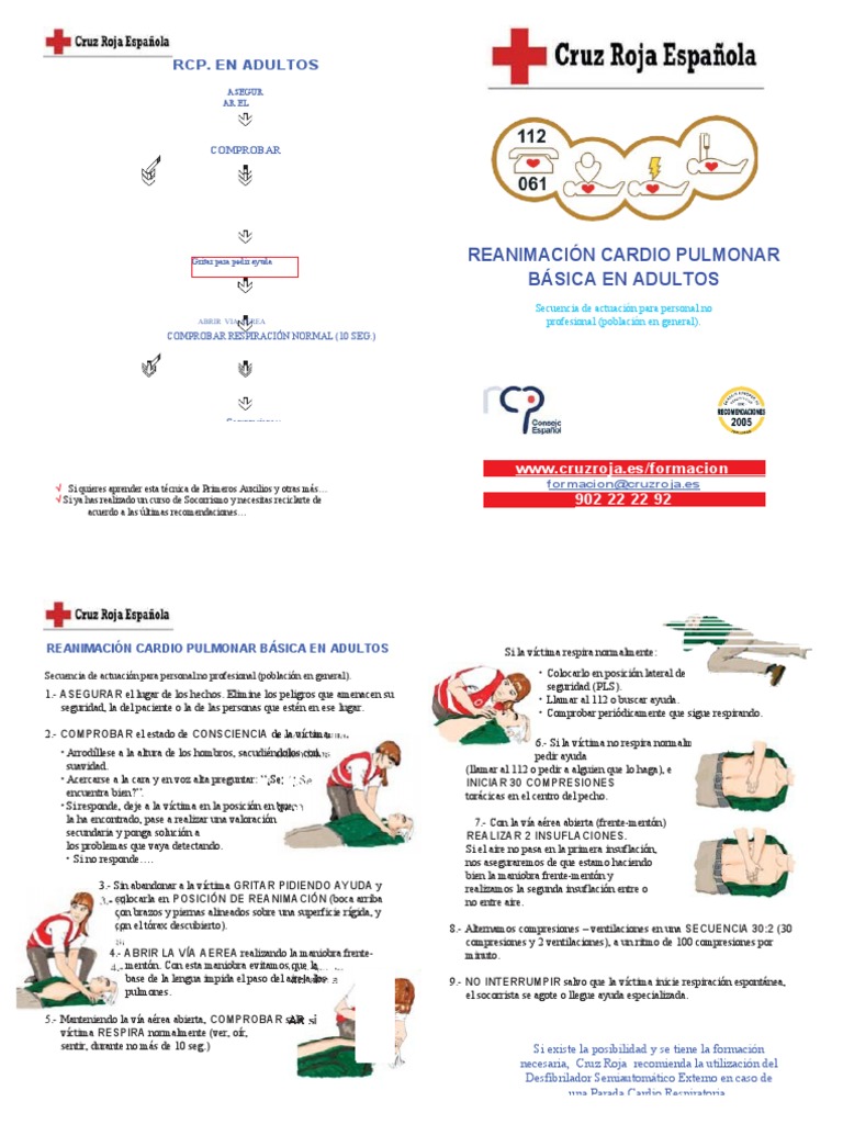 RCP Diptico Cruz Roja | Descargar gratis PDF | Reanimación cardiopulmonar | Medicina CLINICA