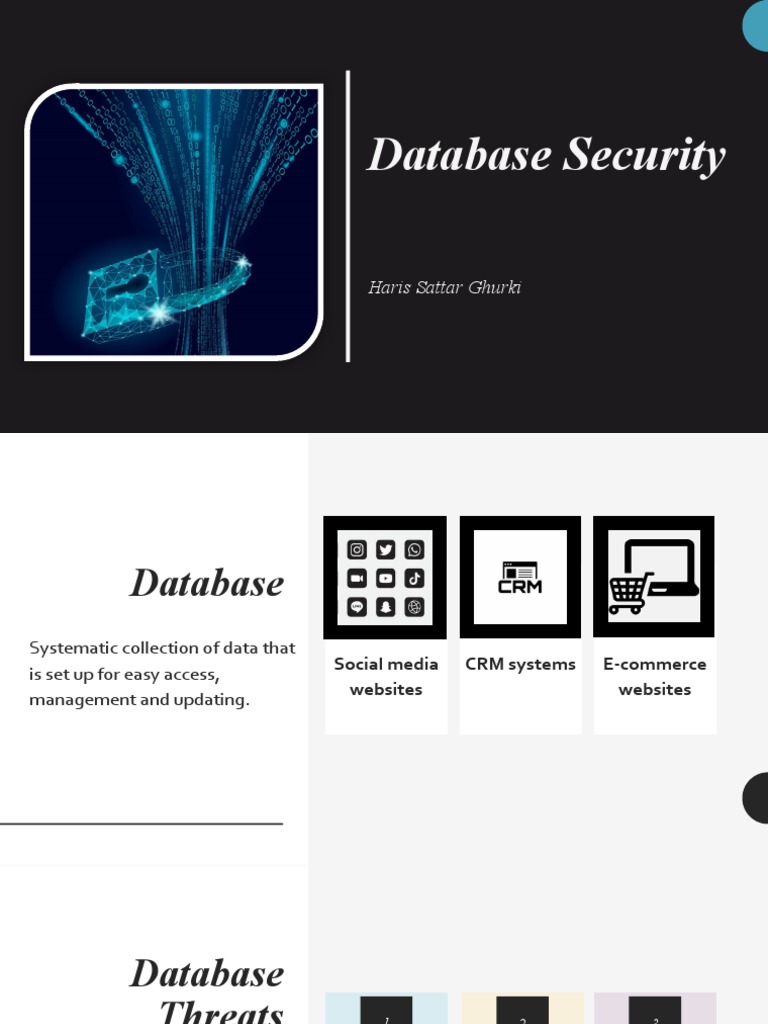 Database Security By Haris Pdf Databases Password