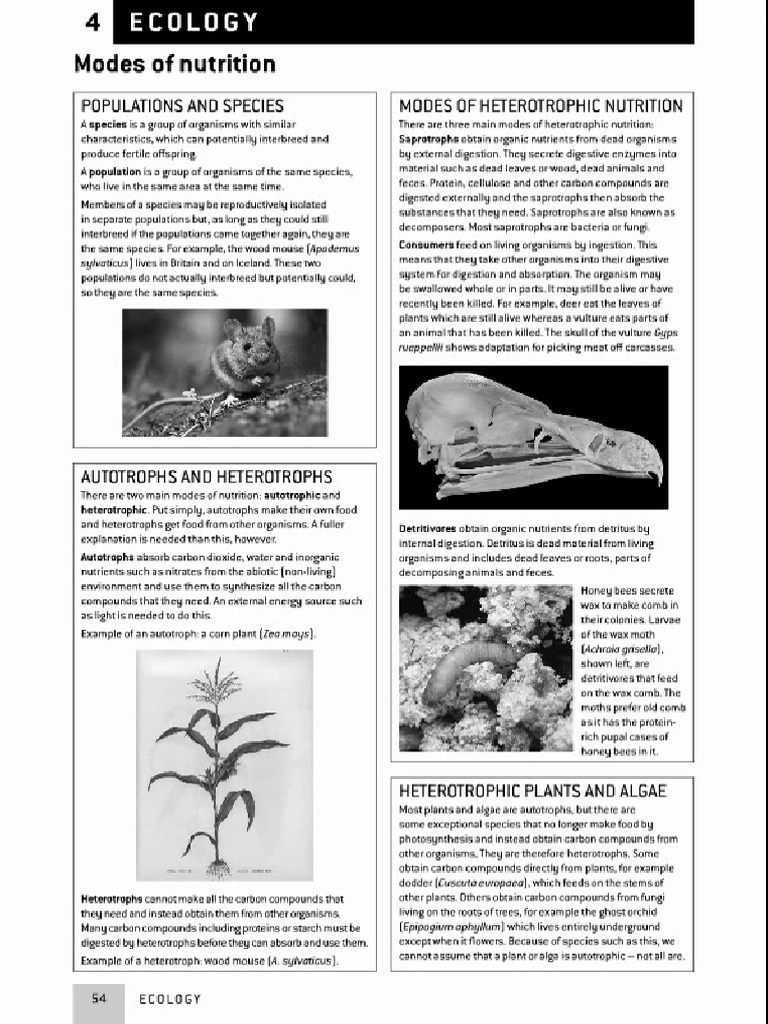 Ecology Summary | PDF