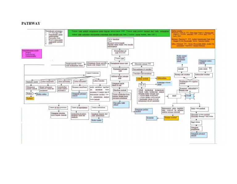 Pathway Tumor Serebri | PDF