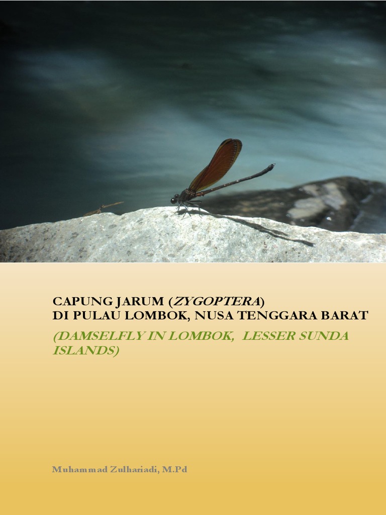 CAPUNG JARUM (ZYGOPTERA) DI PULAU LOMBOK - Muhammad Zulhariadi | PDF