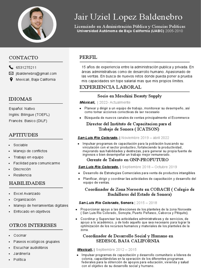 233 Curriculum Vitae Profesional para Trabajo | PDF