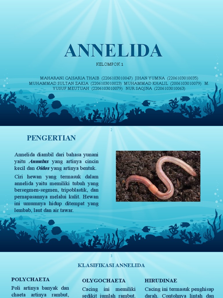 ANNELIDA | PDF