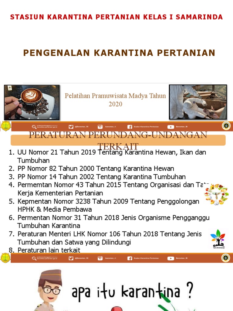 Pengenalan Karantina KH | PDF