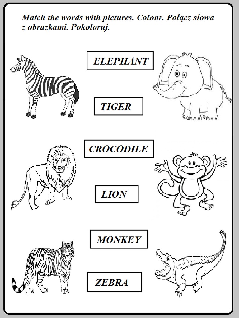 Karta Pracy NR 2 Zoo Animals | PDF