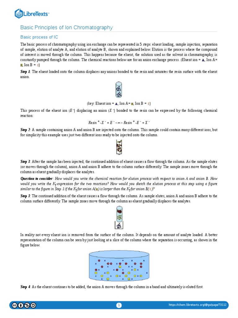 03 Basic Principles of Ion Chromatography | PDF | Elution | Chromatography