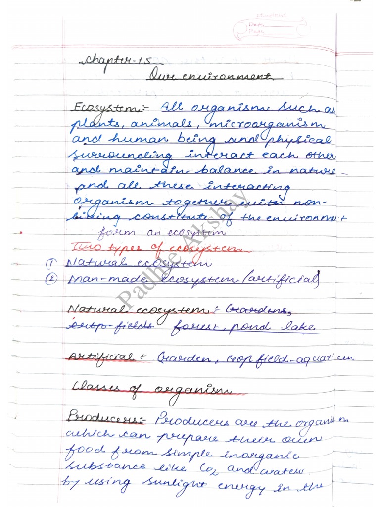 Padhle Our Environment Notes | PDF | Ecosystem | Radiation