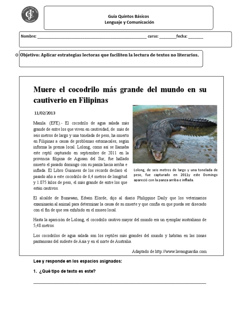 Guía 5° Articulo Informativo, Estrategias | PDF | Cocodrilos