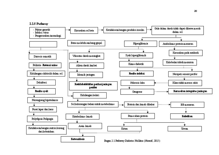 Diabetes Mellitus Pathway | PDF