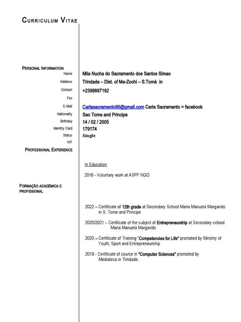 CV - English Version | PDF