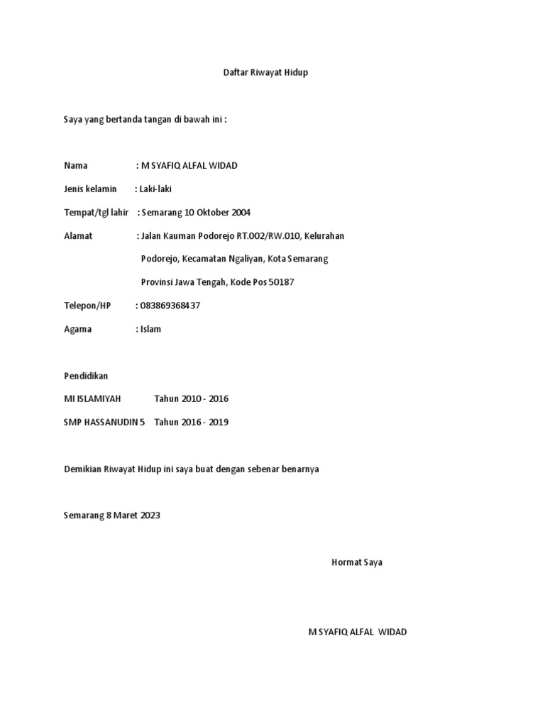 CV Syafiq | PDF