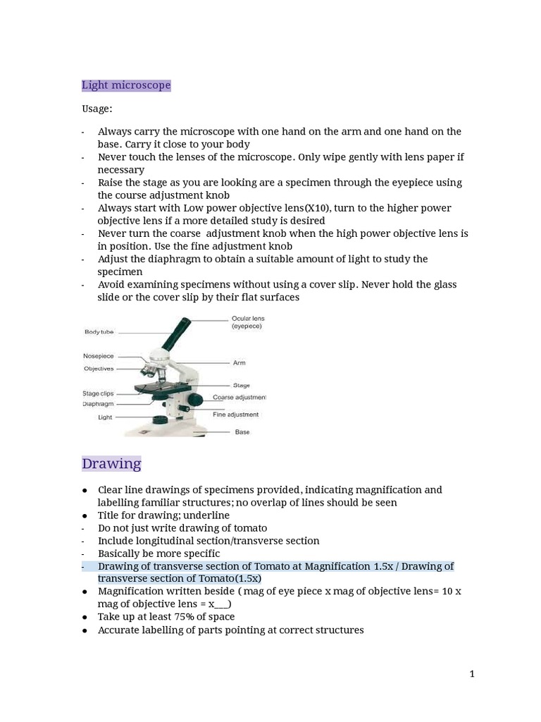 Bio Practical | PDF | Plant Stem | Leaf