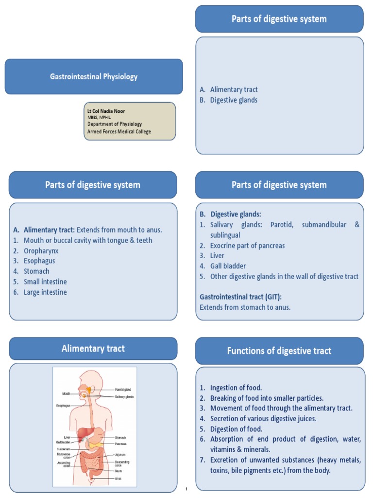 Pages From Physio Term 2 BKLT | PDF | Gastrointestinal Tract | Esophagus