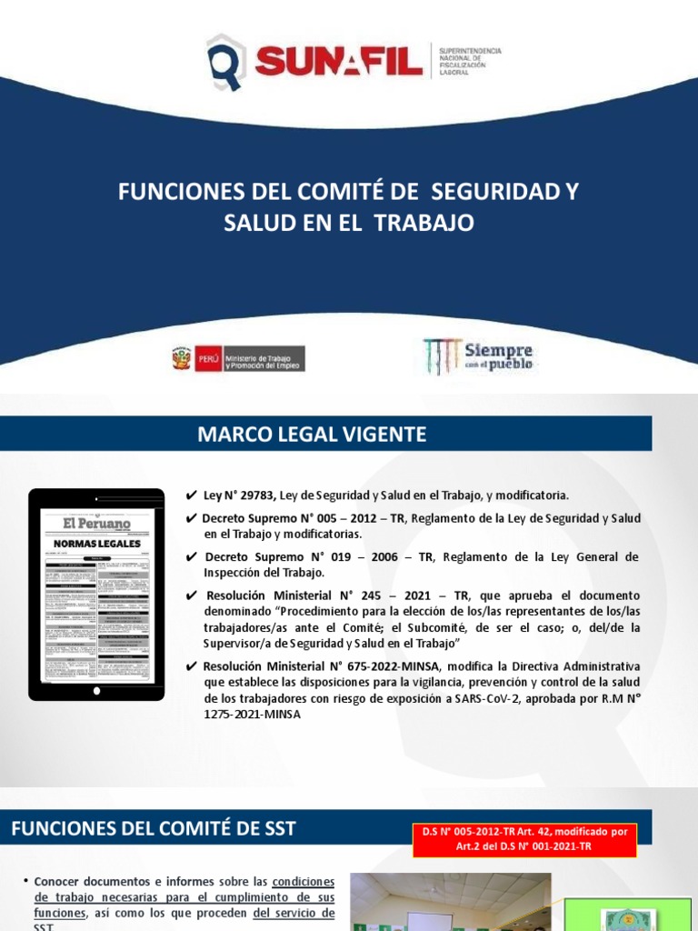 Funciones Del CSST | PDF
