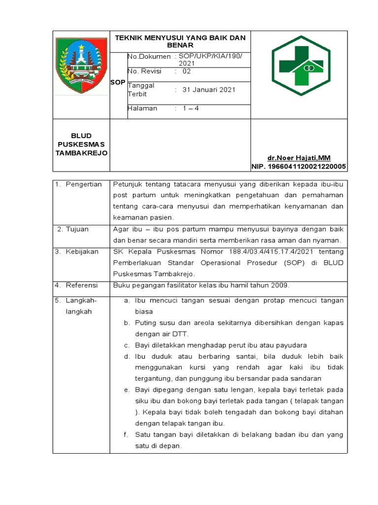 Sop Teknik Menyusui Yang Baik Dan Benar Print | PDF