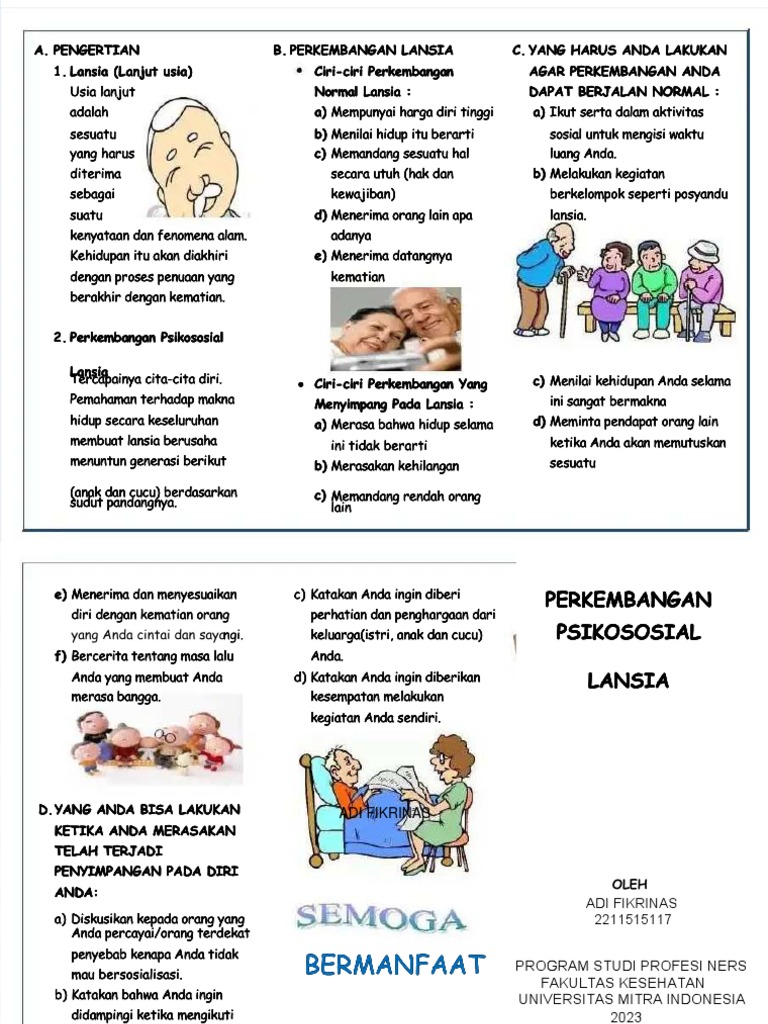 PDF Leaflet Sehat Jiwa Lansia Compress | PDF