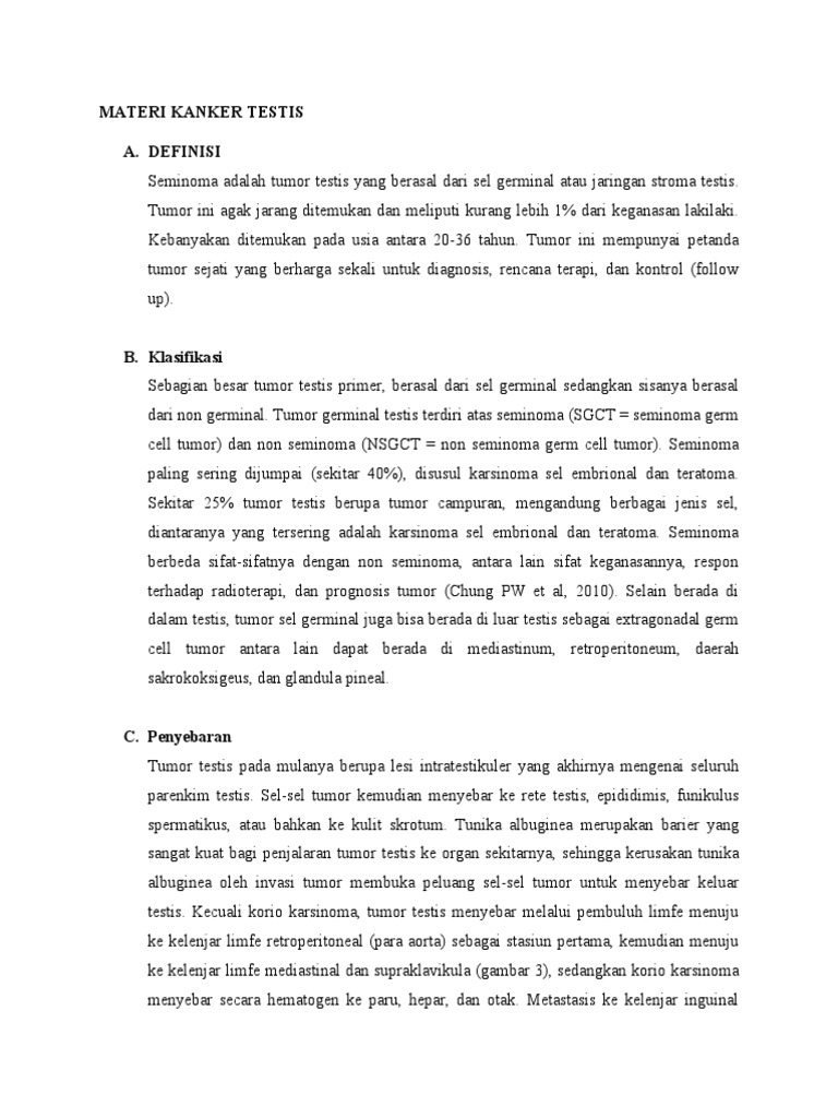 TINJAUAN TEORI KANKER TESTIS | PDF