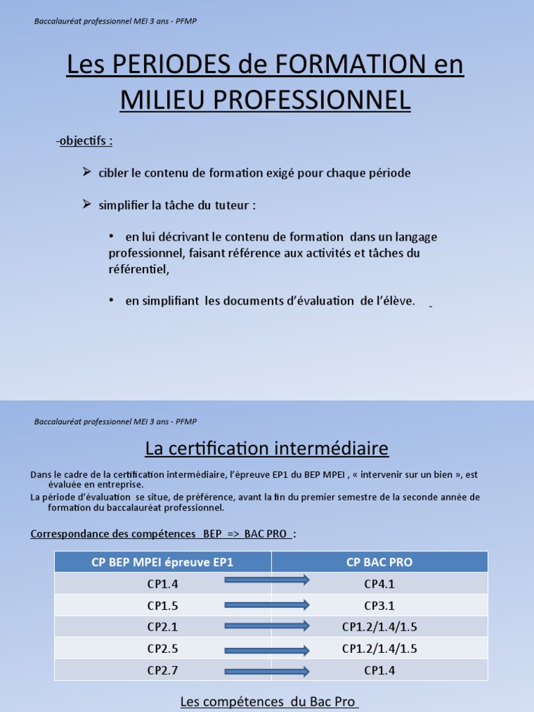 pfmp_bac_pro_mei_3_ans.ppt | PDF
