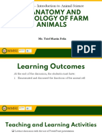 Ruminant and Pseudo-Ruminant Digestive System | PDF | Home & Garden ...