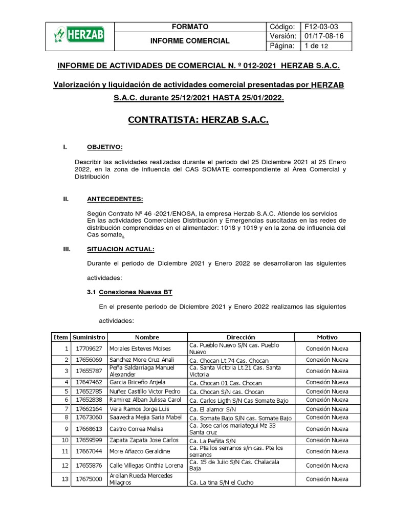 Informe Comercial Enero 2022 | PDF