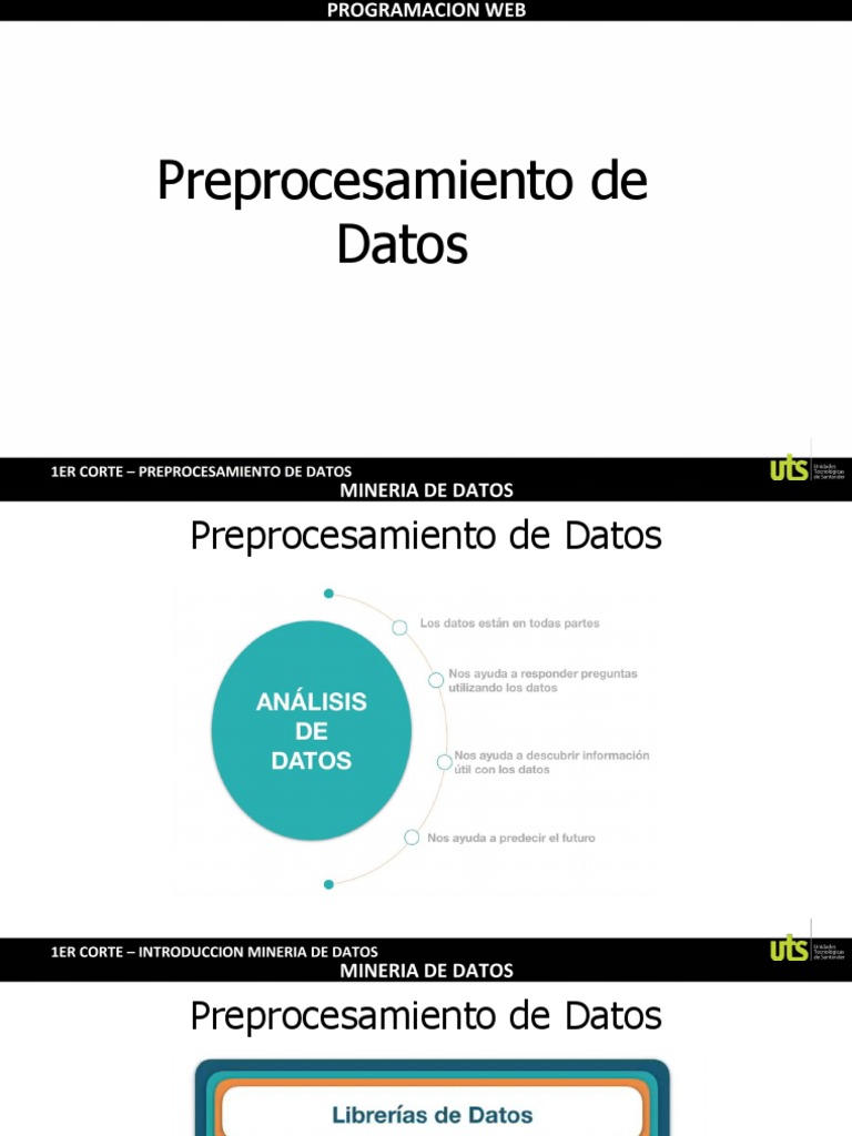Preprocesamiento de Datos | PDF