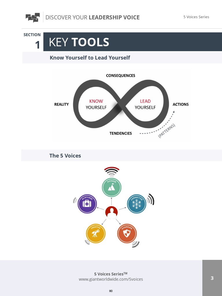 5 Voices Workbook | PDF | Leadership | Risk