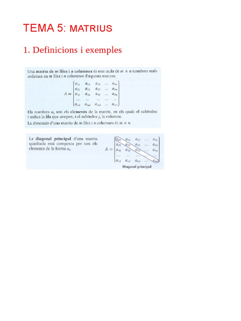 Tema 5. Matrius (2) .Odt | PDF