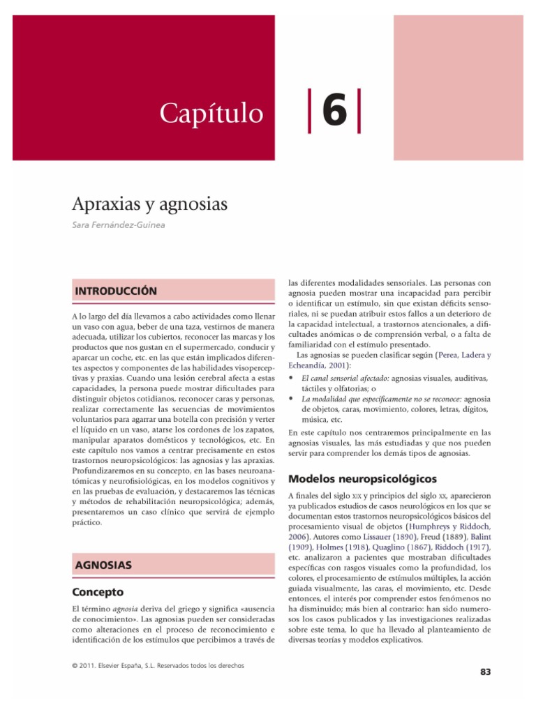 Capitulo6. Apraxias y Agnosias - Fernandez-Guinea - 2011 | PDF