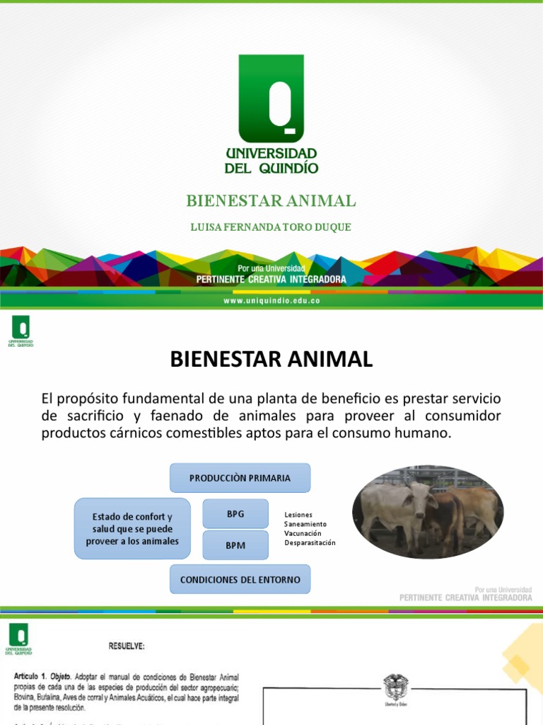 Clase 4. Bienestar Animal | PDF | Bienestar de los animales | Carne