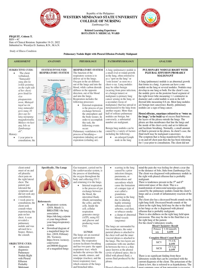 Rotation 5 - Sic | PDF | Lung | Respiratory Tract