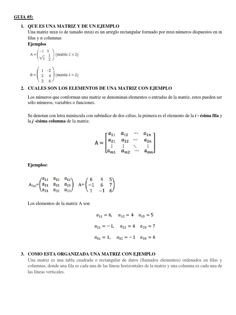 Guía Completa sobre Matrices y Ejemplos | PDF | Matriz (Matemáticas ...