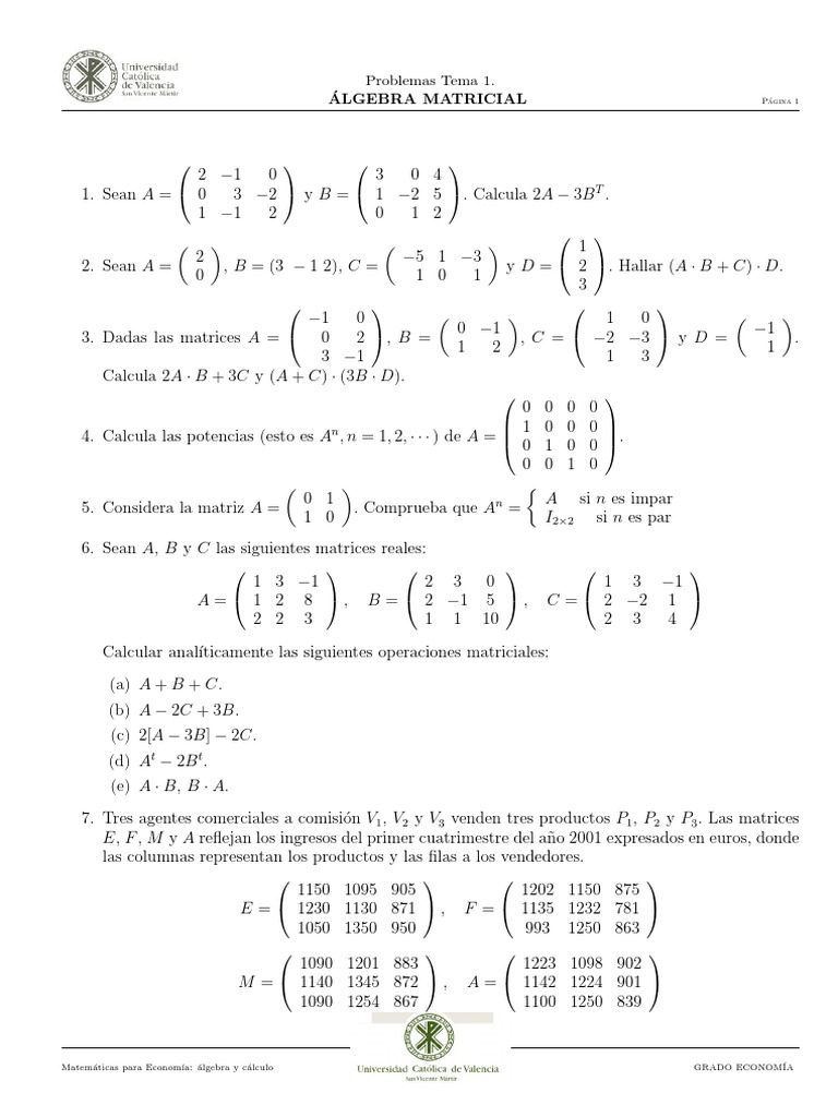 Enunciados Ejercicios Álgebra Matricial | PDF | Matriz (Matemáticas ...