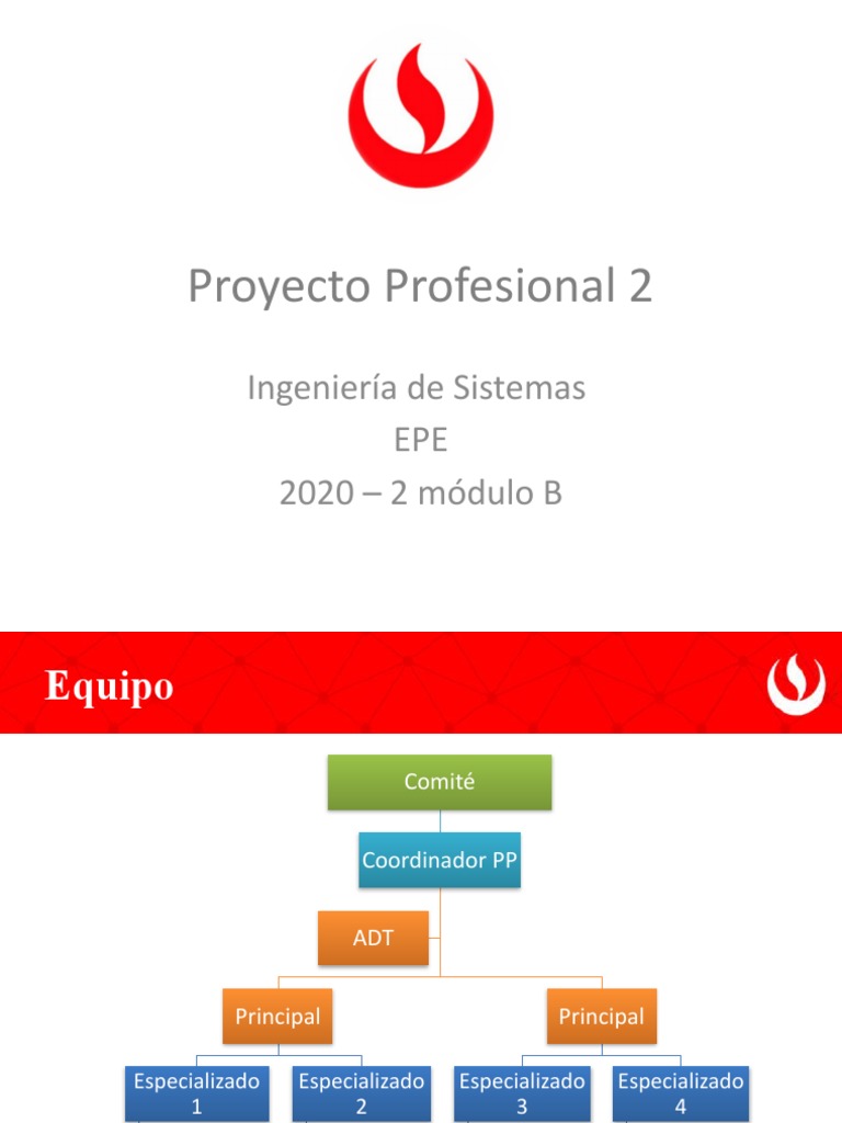 Proyecto Profesional para PP2 2020-2B | PDF | Ingeniería | Evaluación