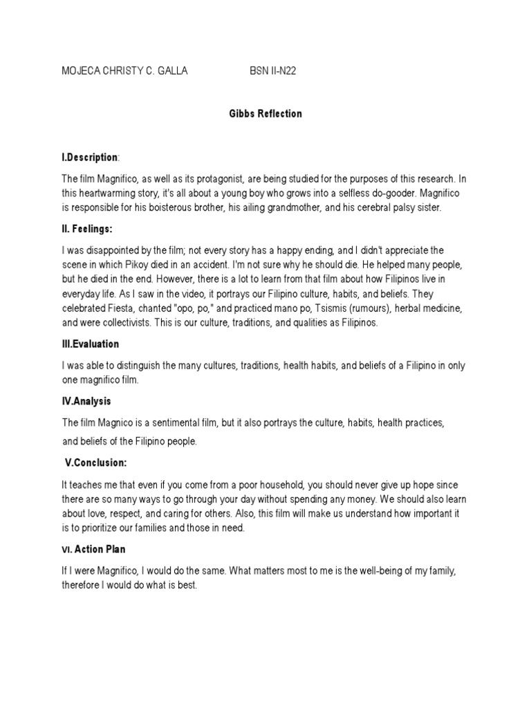 Gibss Reflection Magnifico | PDF