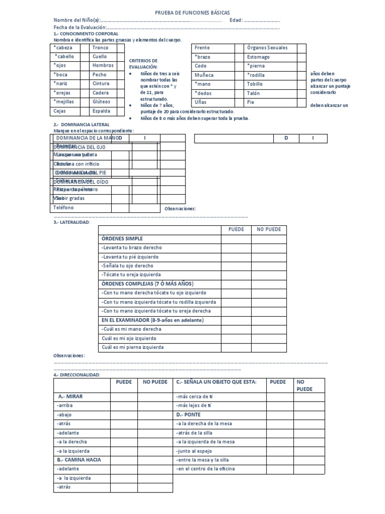 Prueba de Funciones Basicas Modificado | PDF